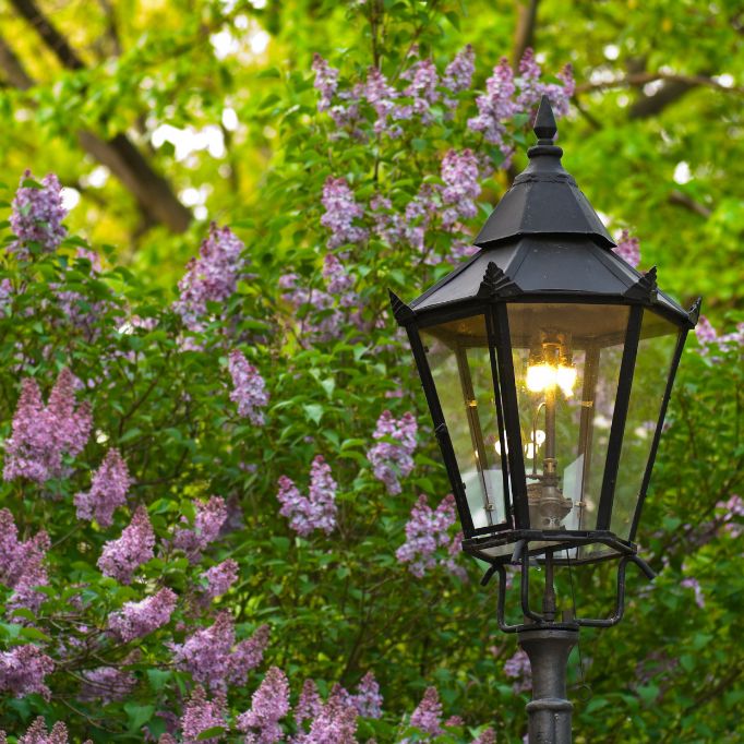 Astroturf – alicespringstomind